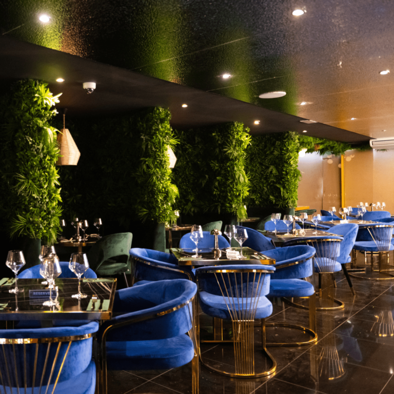 Vybes by Alpha - Timeless Elegance, Unforgettable Taste